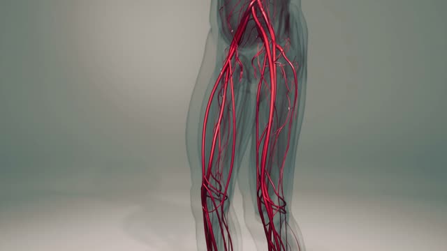 360 Human Body Stock Footage: Royalty-Free Video Clips - Storyblocks