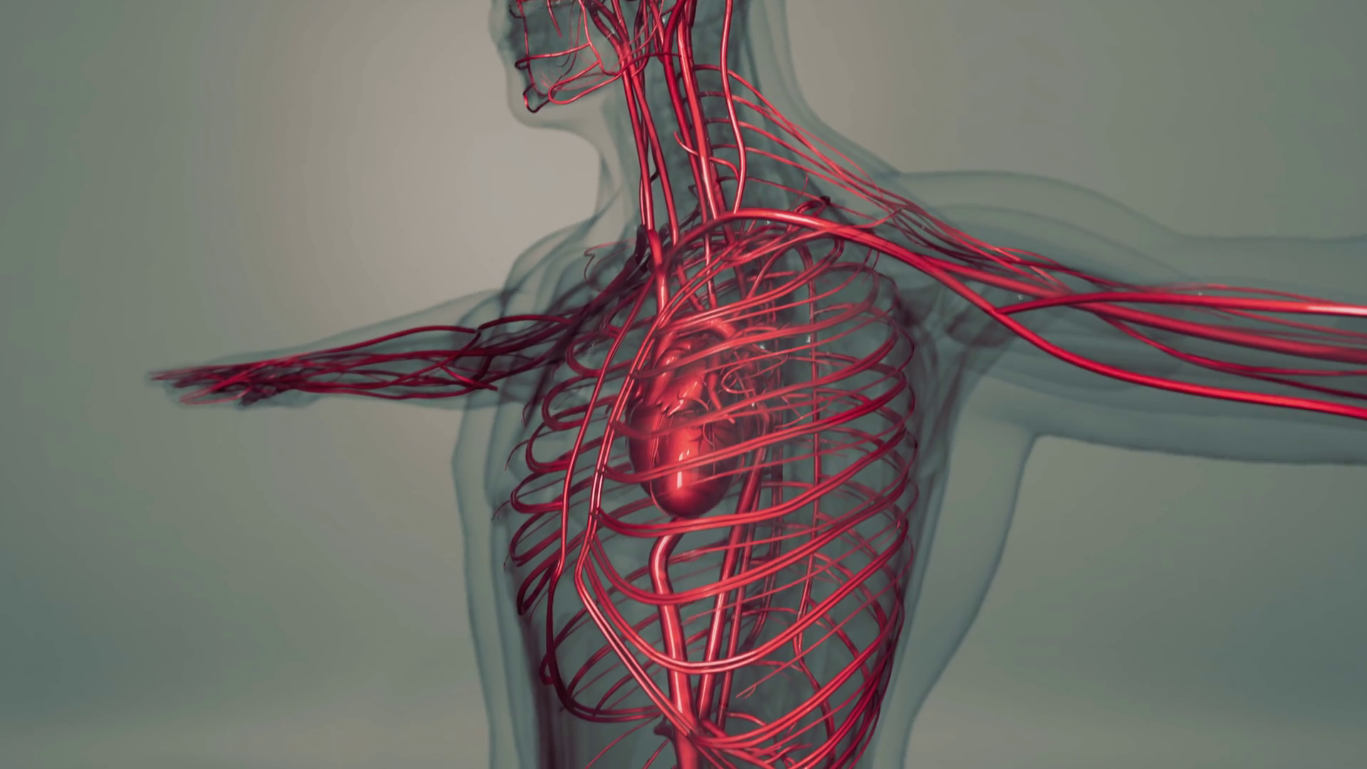 Medically Accurate Animation Of Heart With Stock Footage SBV-347688409 ...