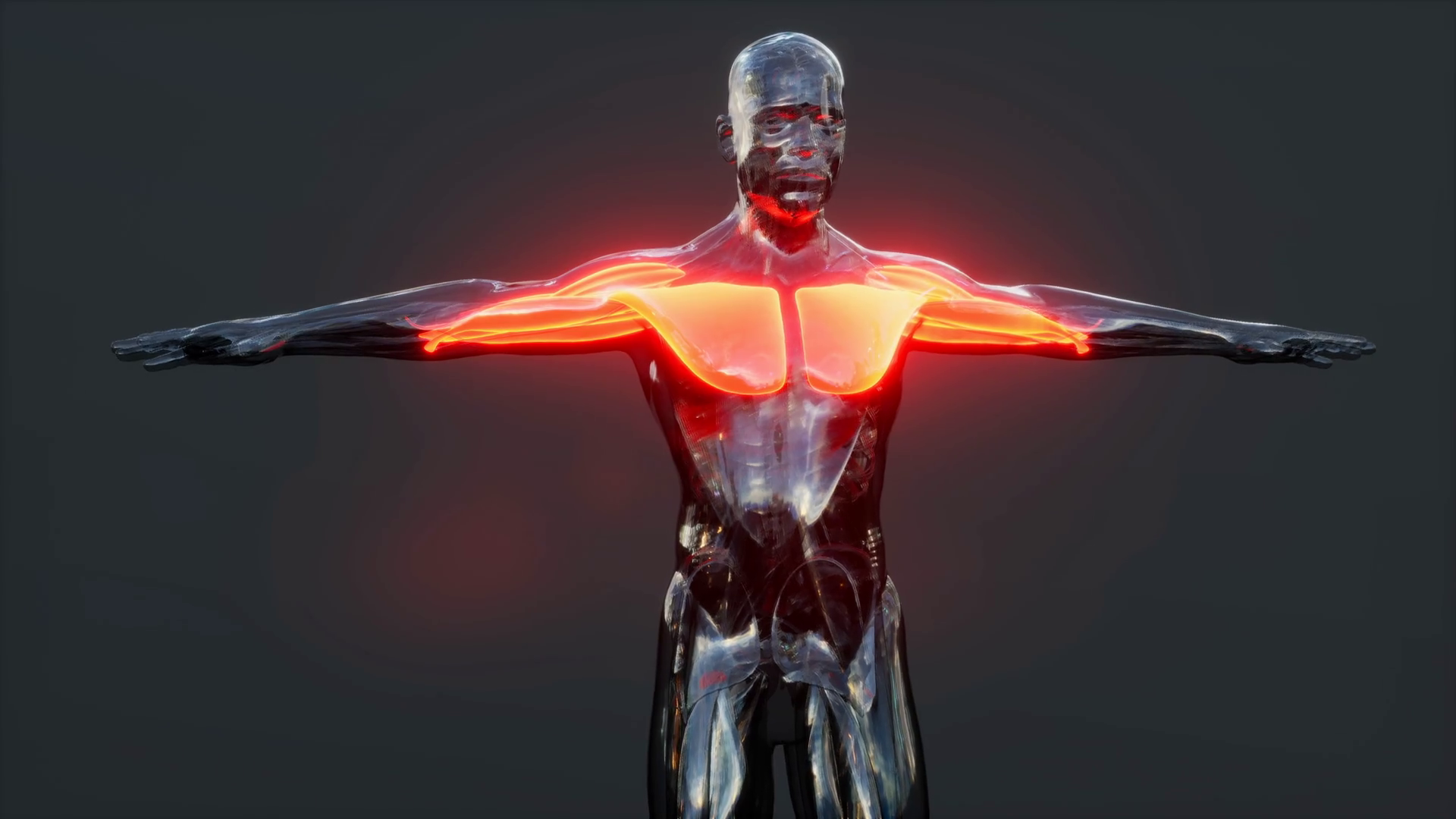 Digital scan of human muscular system Motion Background 00:10 SBV ...