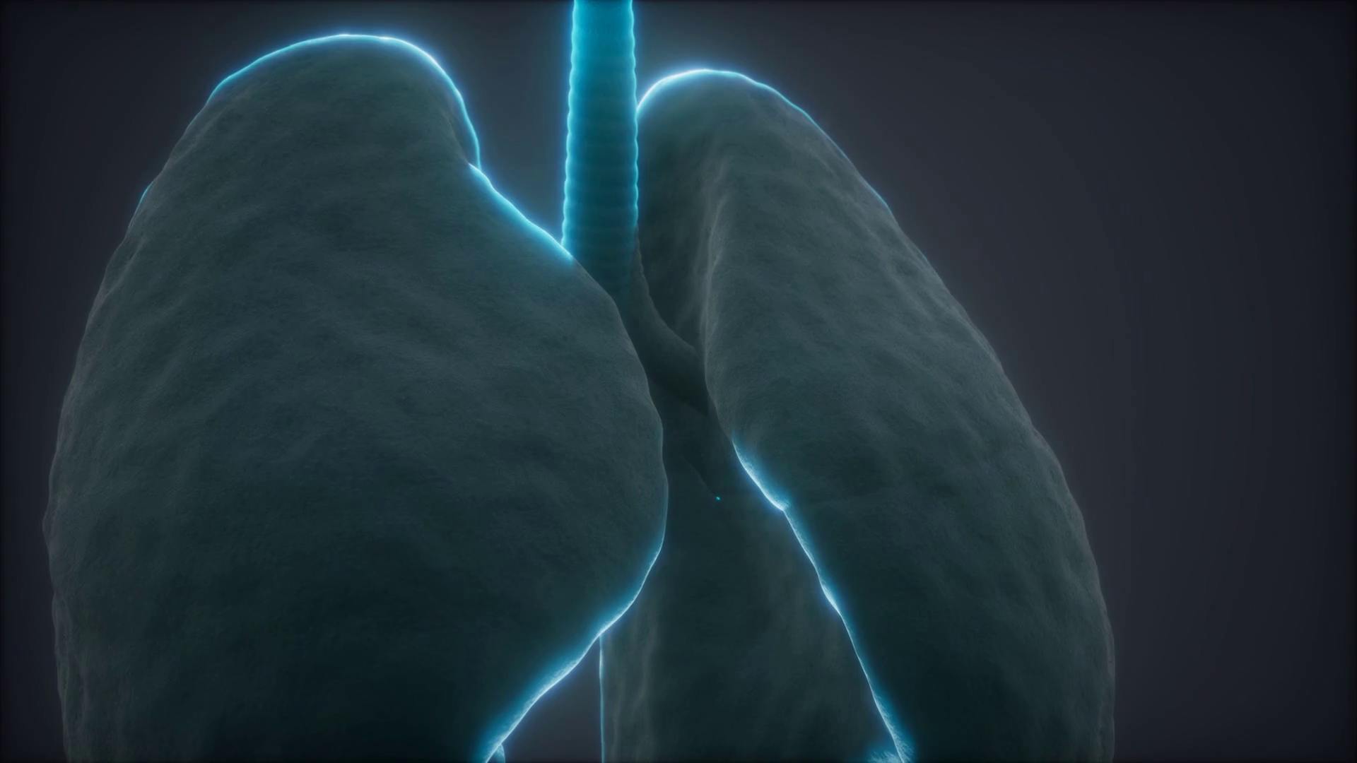 3d Animation Of Human Lungs Stock Motion Graphics SBV-338074782 ...