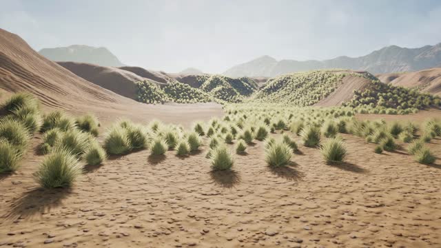 Green Desert Stock Footage: Royalty-Free Video Clips - Storyblocks