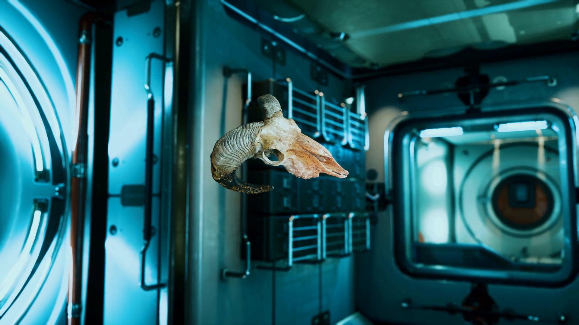 skull of dead ram in international space station Stock Video Footage 00 ...