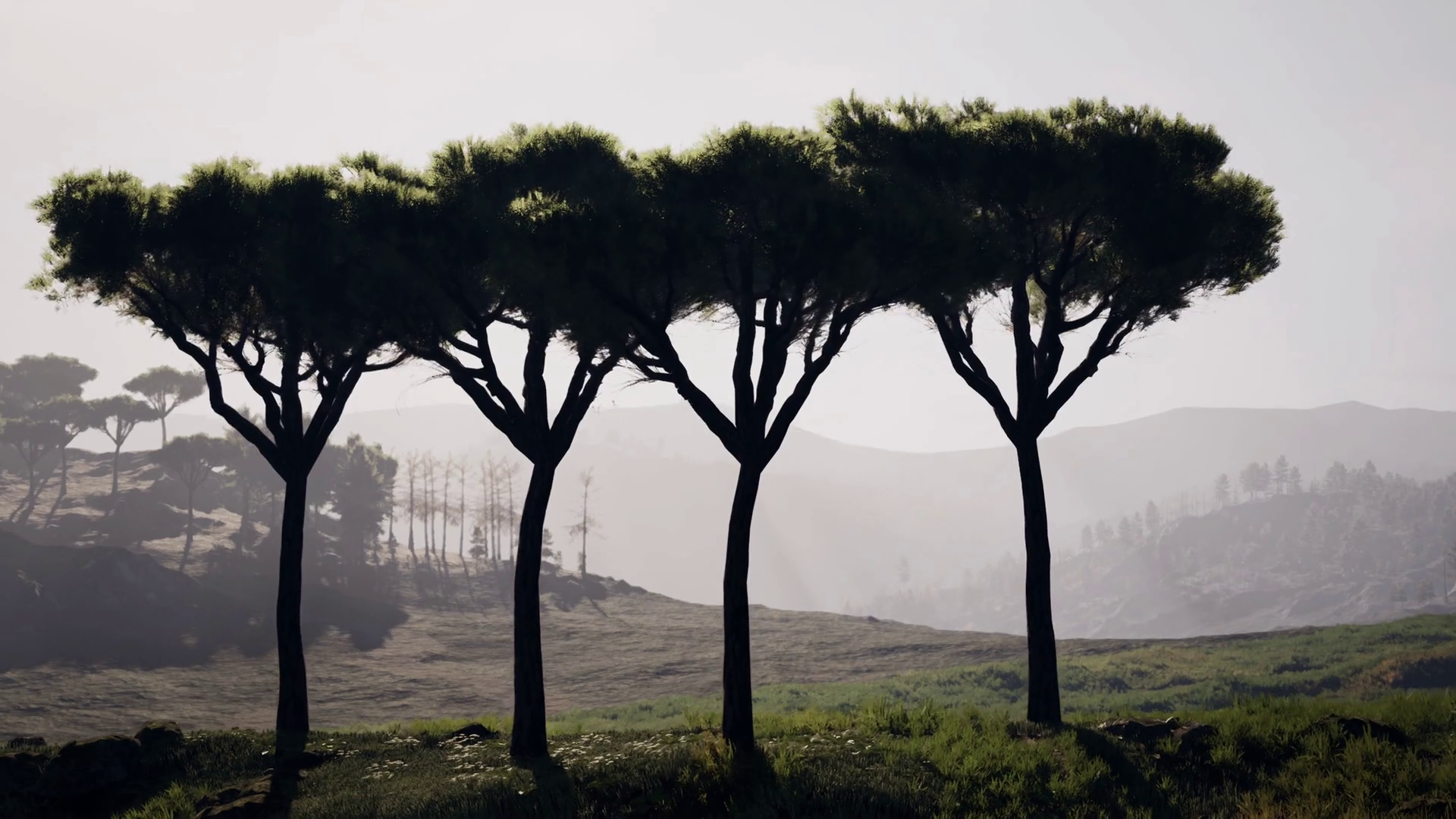 Flying Over Fields Covering Vast African Stock Motion Graphics SBV ...