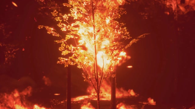 Amazon Fire Stock Footage: Royalty-Free Video Clips - Storyblocks