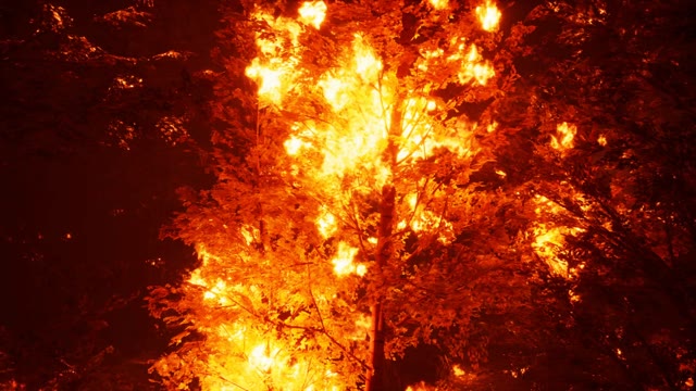 Burning Amber Stock Footage: Royalty-Free Video Clips - Storyblocks