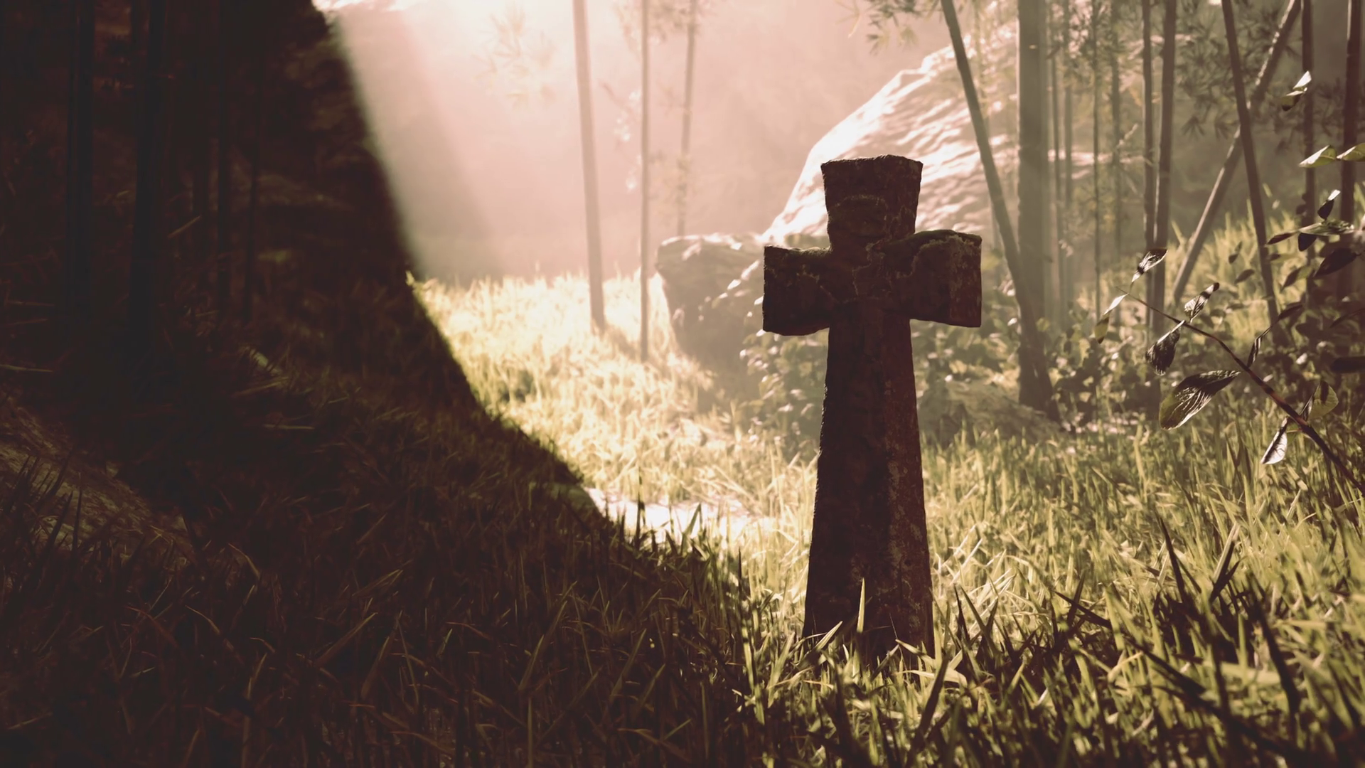 Old Graveyard In Bamboo Jungle Grove Stock Motion Graphics SBV ...