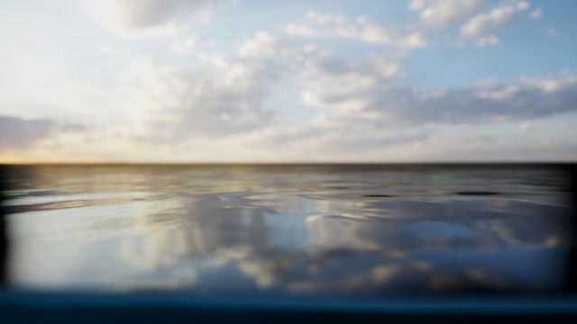 Download 68,987 Nature Motion Backgrounds - Storyblocks