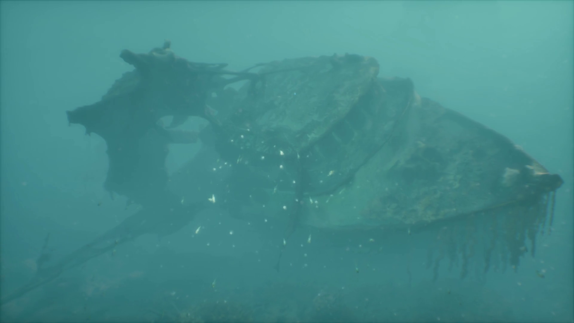 Old Sunken Ship Resting Among Reefs In Stock Motion Graphics SBV ...