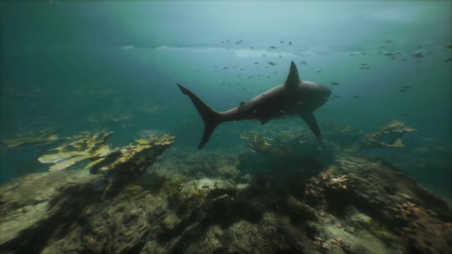 Teeth | Nature motion backgrounds - Storyblocks