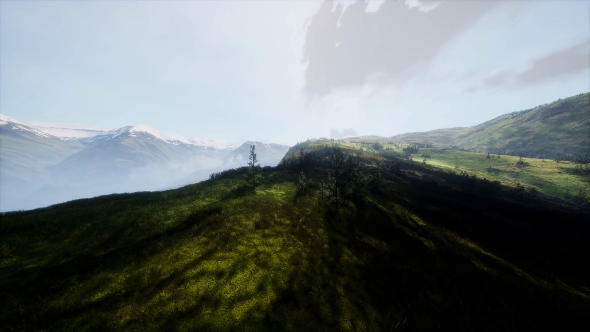 Aerial View Of Hill With Tree Stock Motion Graphics SBV-348906218 ...
