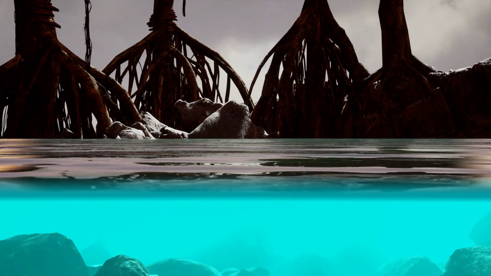 Above Below Sea Surface Near Mangrove Trees Stock Motion Graphics SBV ...