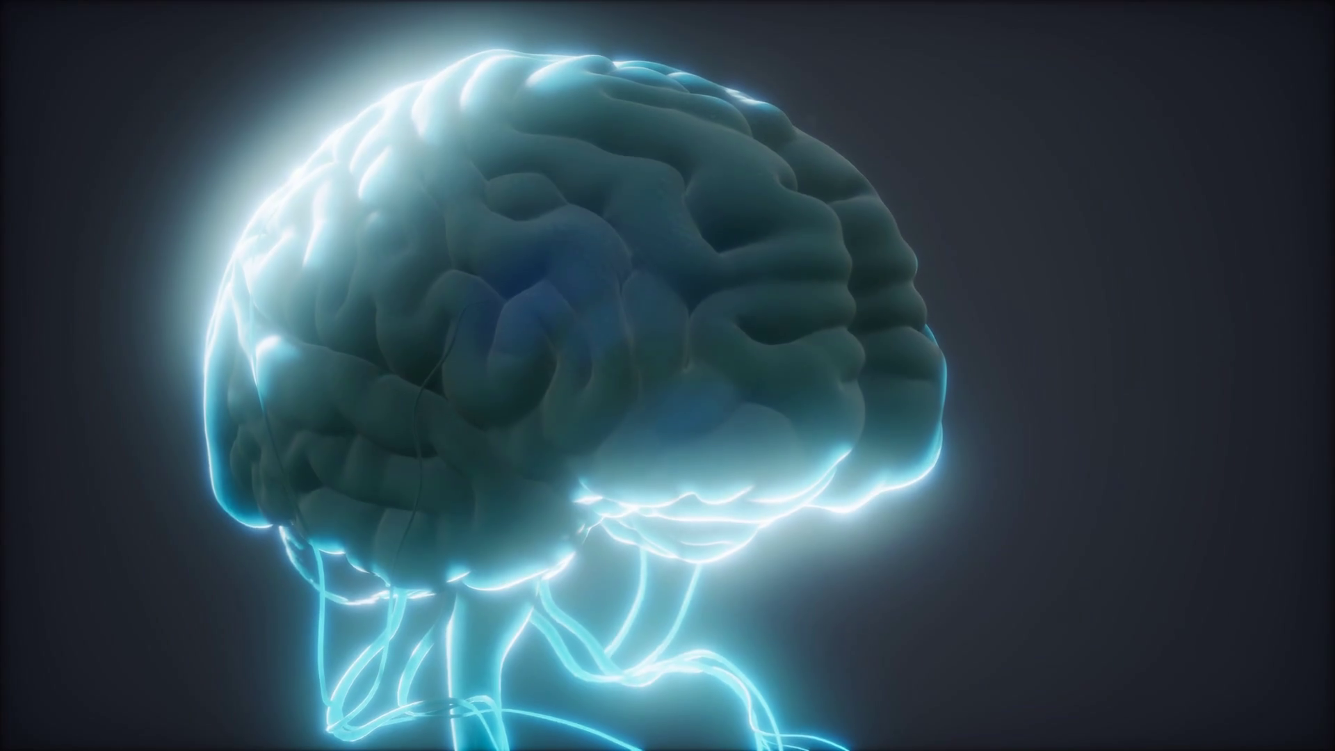 Animated Model Of Human Brain Stock Motion Graphics SBV-338019161 ...