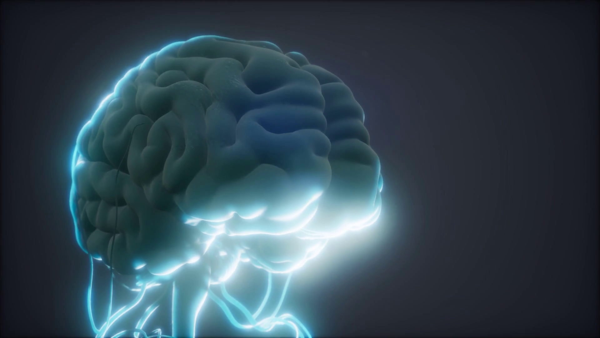 Animated Model Of Human Brain Stock Motion Graphics SBV-338643053 ...
