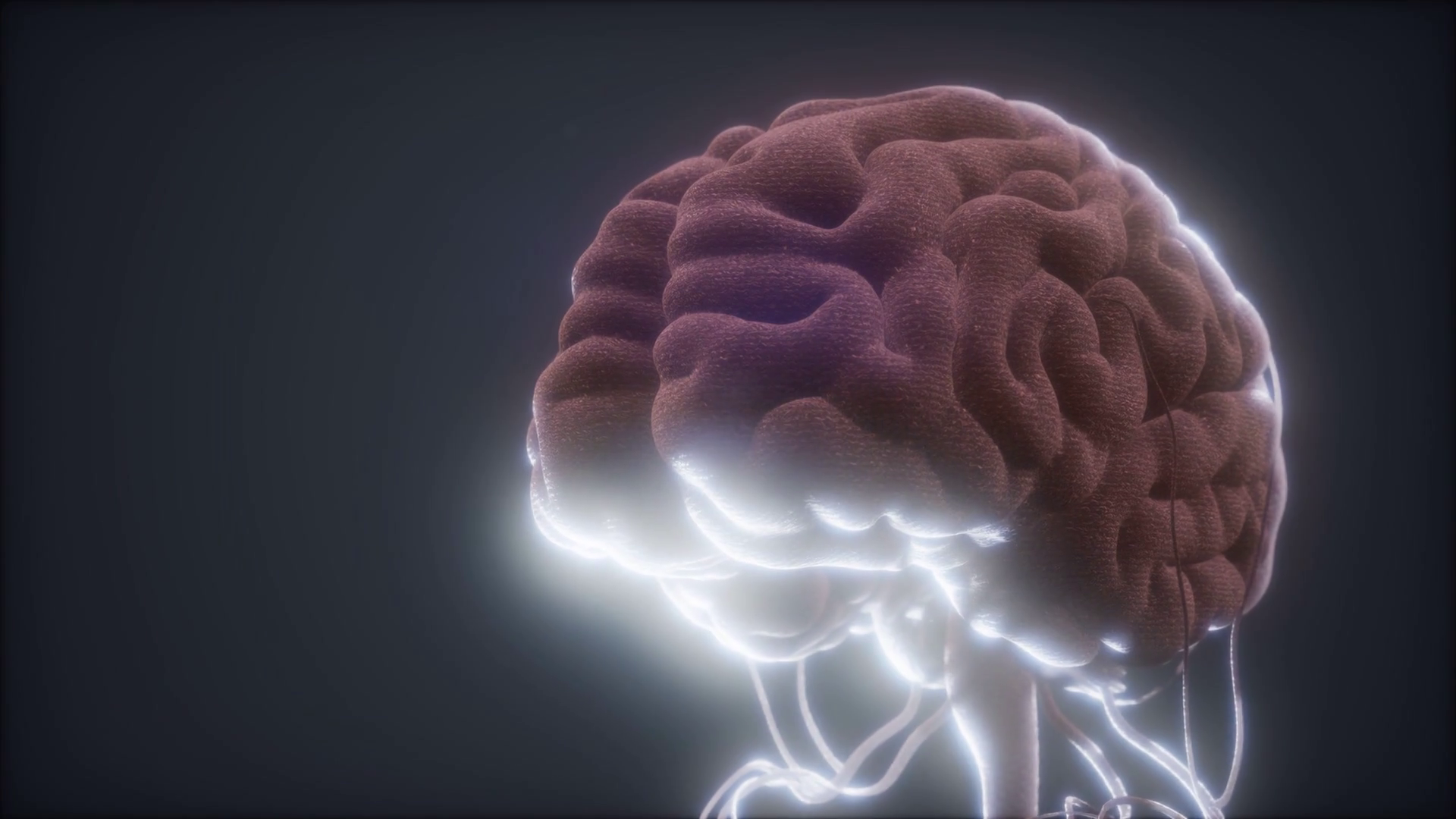 Animated Model Of Human Brain Stock Motion Graphics SBV-338133913 ...
