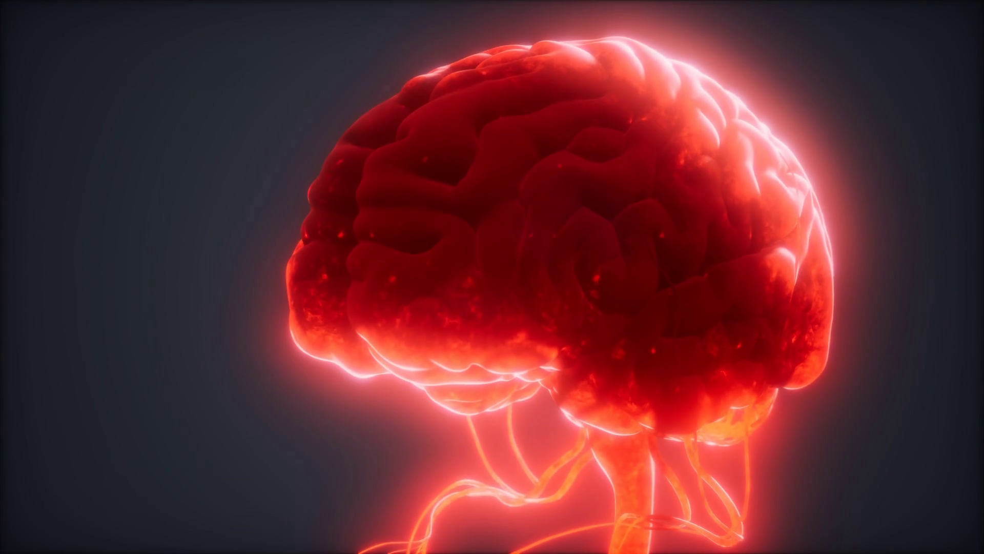Animated Model Of Human Brain Stock Motion Graphics SBV-338543945 ...