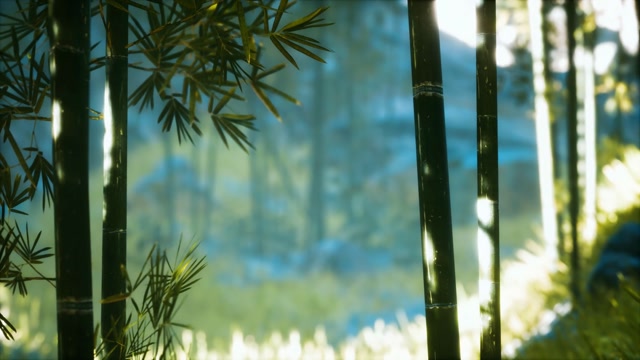 Single Frame Stock Footage: Royalty-Free Video Clips - Storyblocks