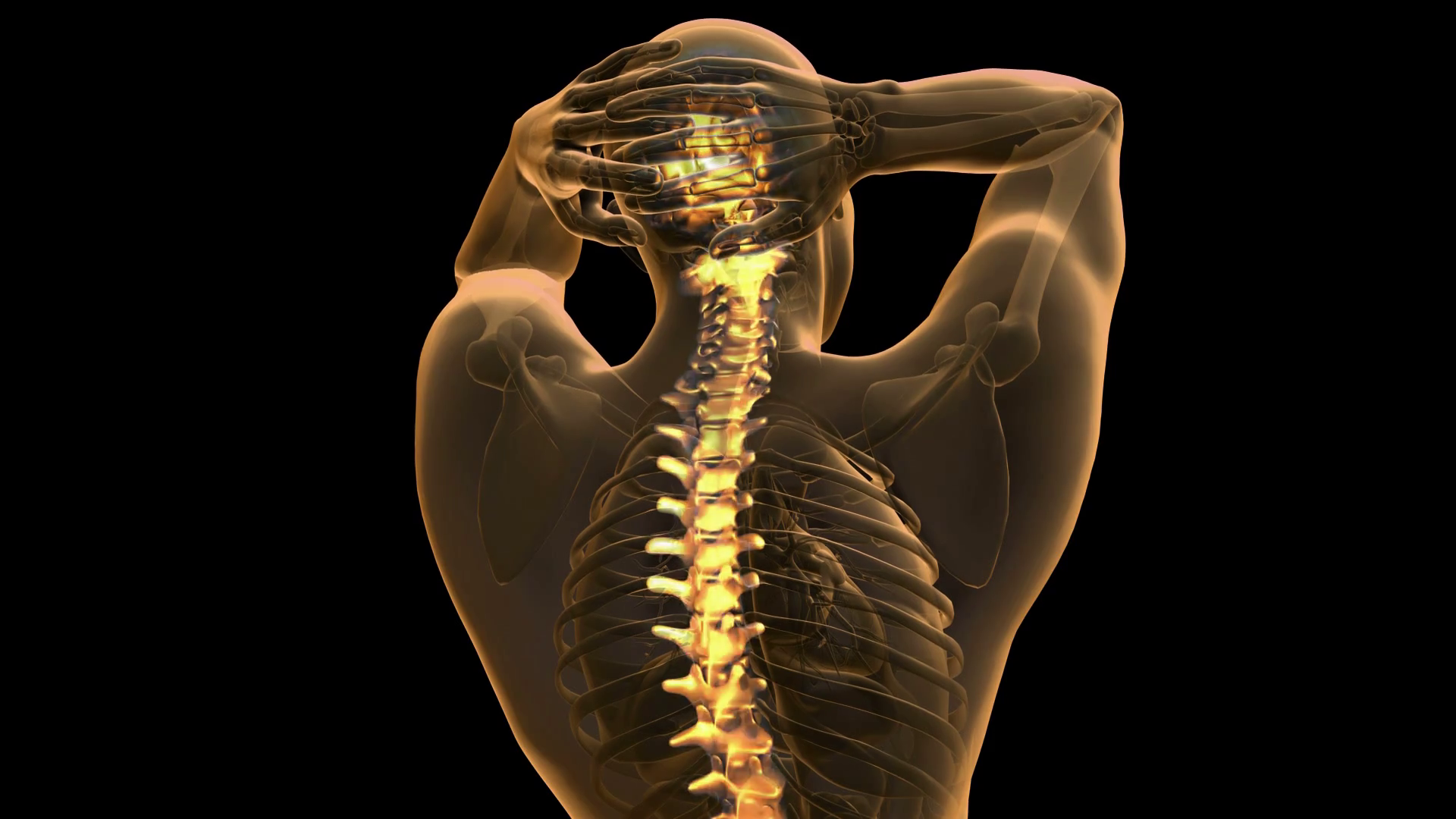 Backbone Backache Science Anatomy Scan Of Human Spine Bones Glowing 