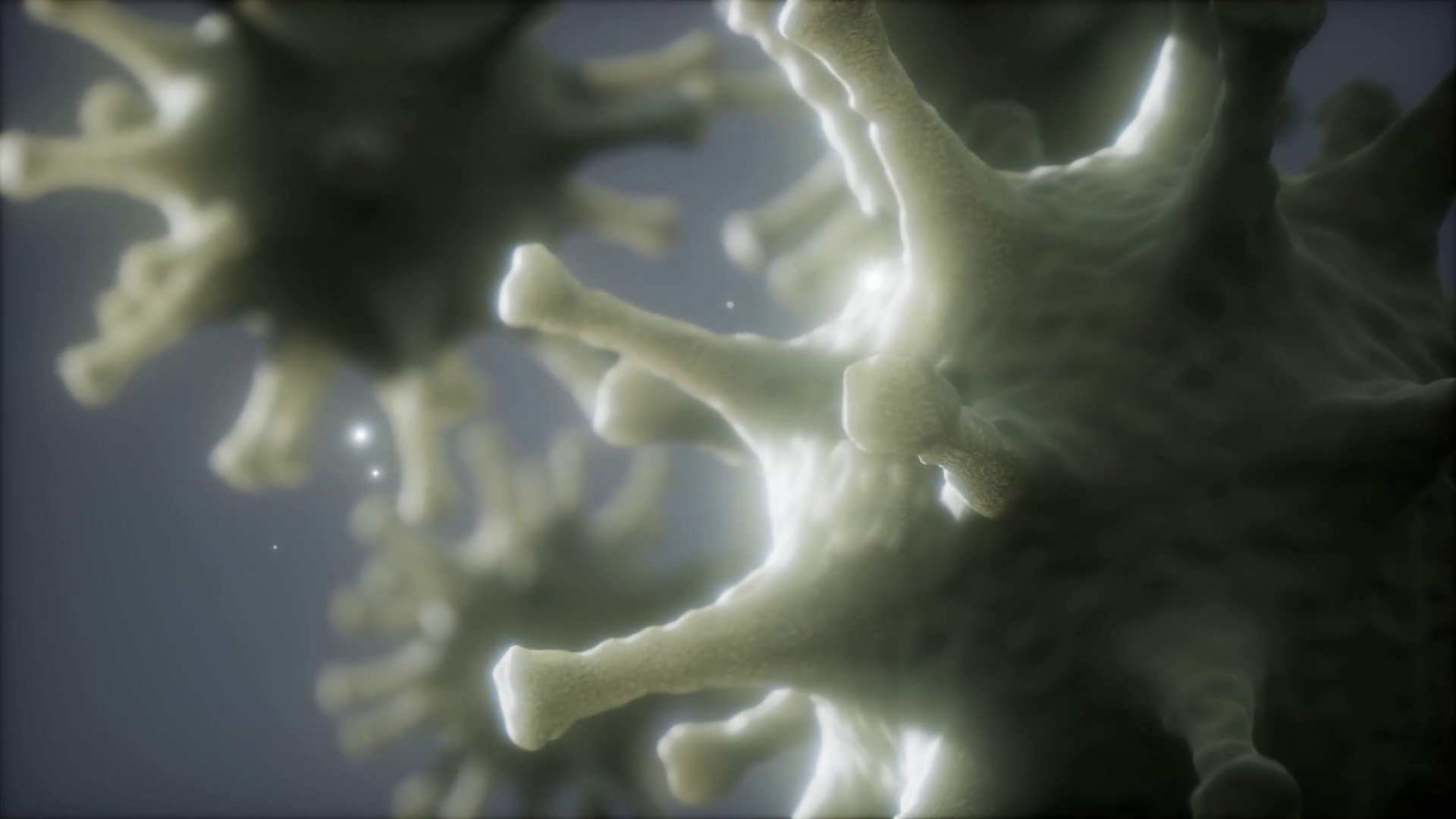 Bacteria Virus Germs Microorganism Cells Stock Motion Graphics SBV ...