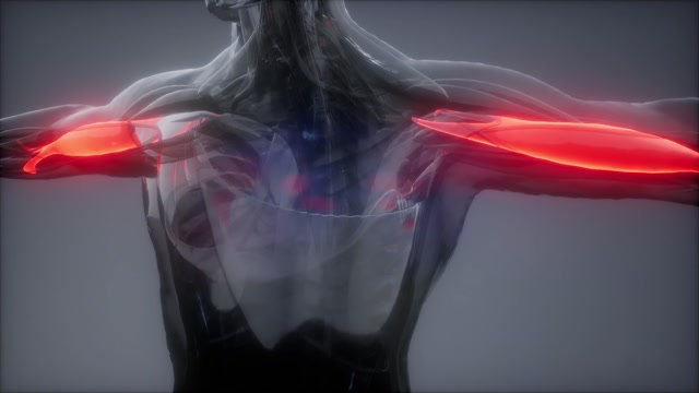 Arms Out Stock Footage: Royalty-Free Video Clips - Storyblocks