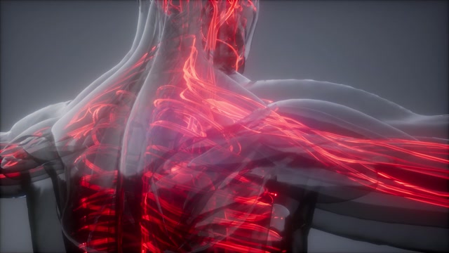 Symptoms Animation Stock Footage: Royalty-Free Video Clips - Storyblocks