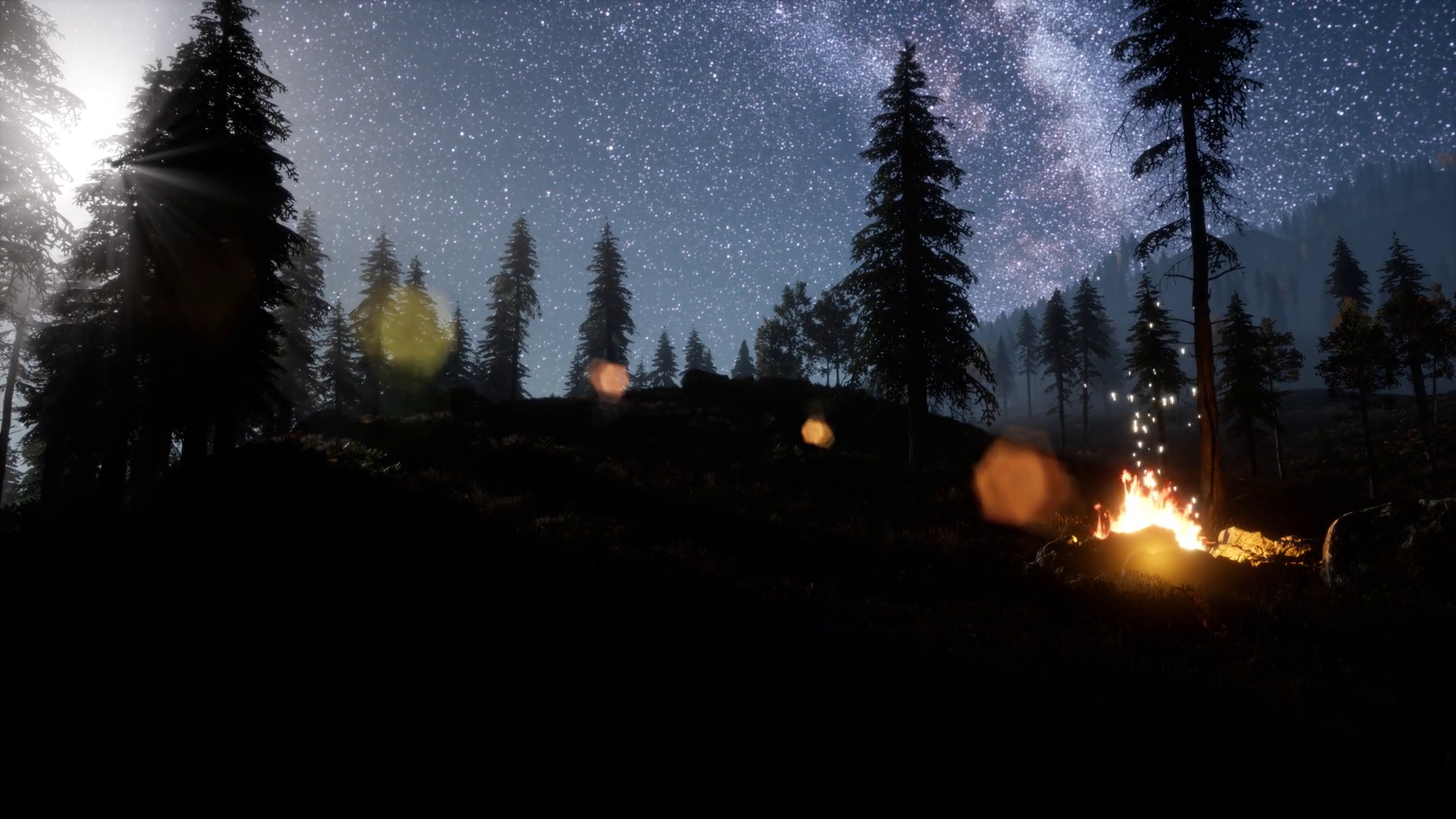 Campfire At Mountain Rorest At Night Stock Footage SBV-327361917 ...