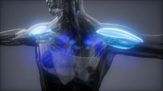Shoulder Animation Stock Footage: Royalty-Free Video Clips - Storyblocks