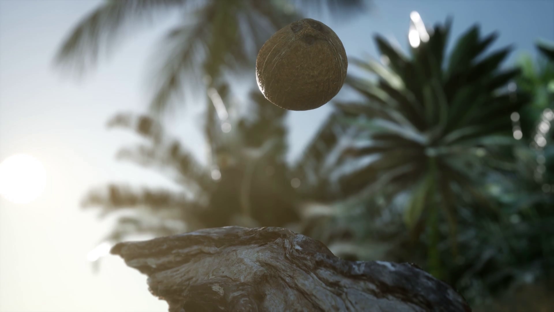 Extreme Slow Motion Falling Coconut In Jungle Stock Motion Graphics SBV ...