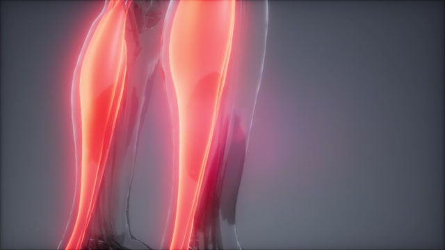 Legs Animation Stock Footage: Royalty-Free Video Clips - Storyblocks