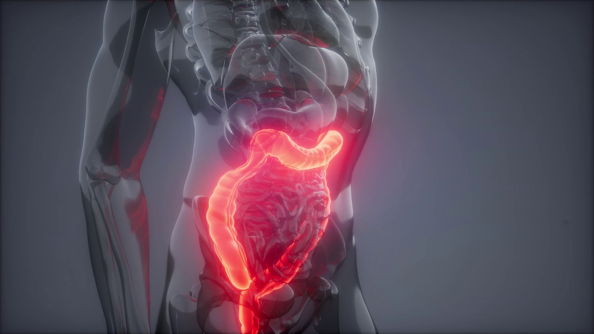Human Colon Radiology Exam Stock Motion Graphics SBV-337164236 ...