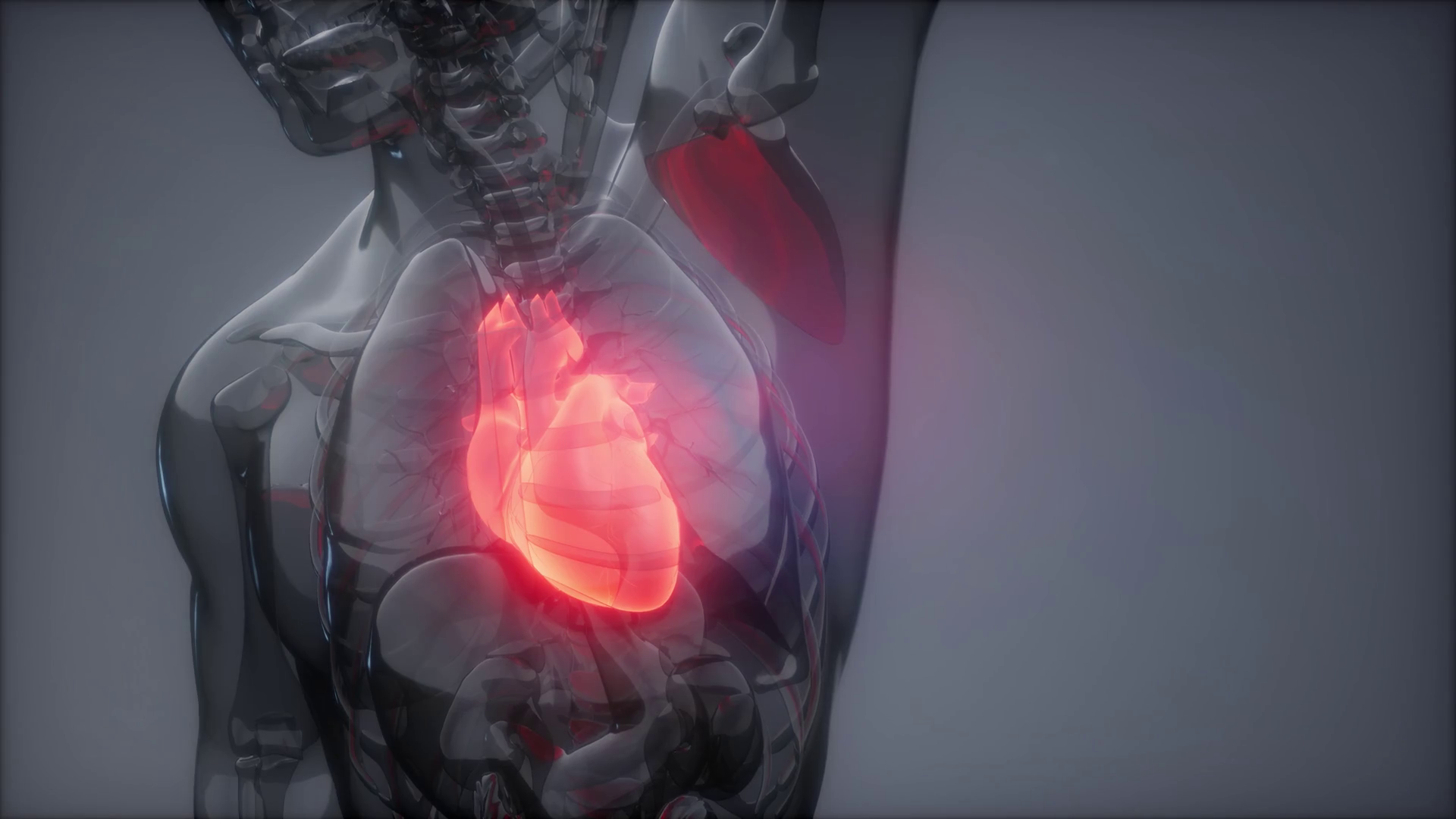 Human Heart Radiology Exam Stock Footage SBV-330029558 - Storyblocks