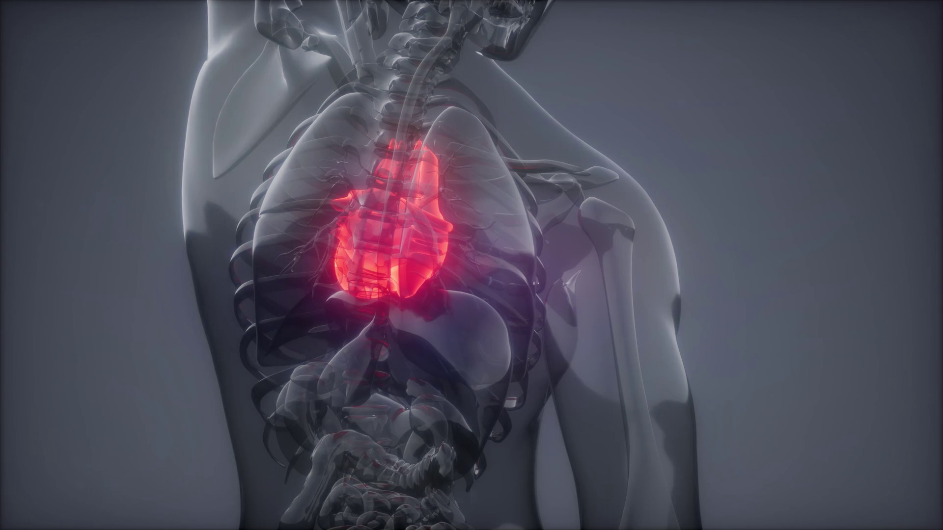 Human Heart Radiology Exam Stock Footage SBV-334717765 - Storyblocks