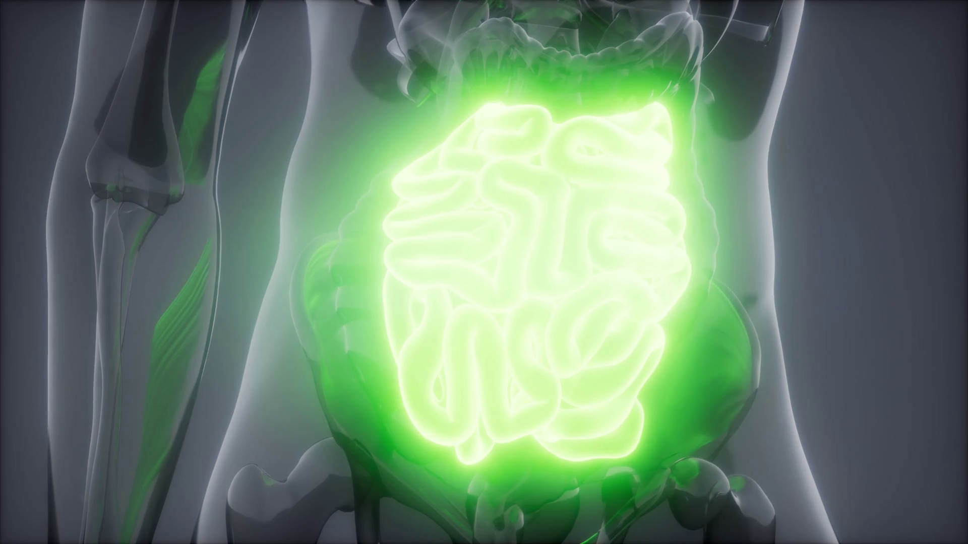 Small Intestine Radiology Examination Stock Footage SBV-331046608 ...