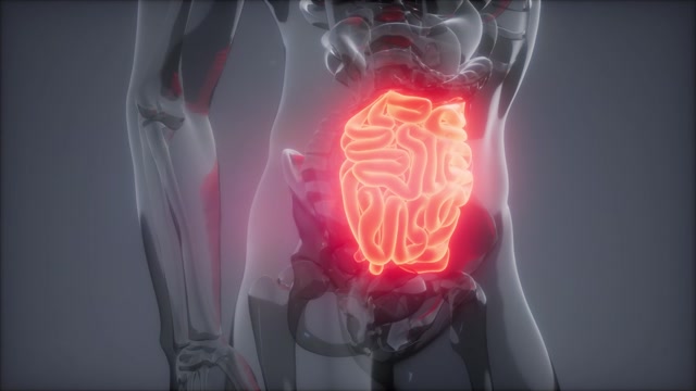 Body Inflammation Animation Stock Footage: Royalty-Free Video Clips ...