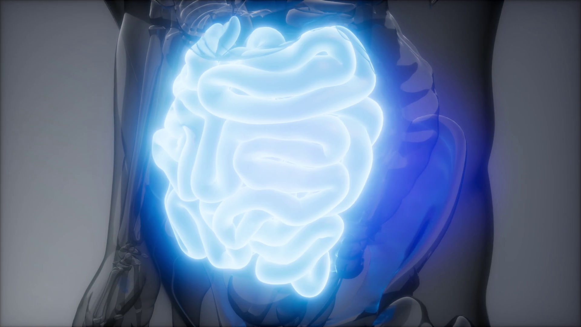 Human Small Intestine Radiology Exam Stock Footage SBV-335906352 ...