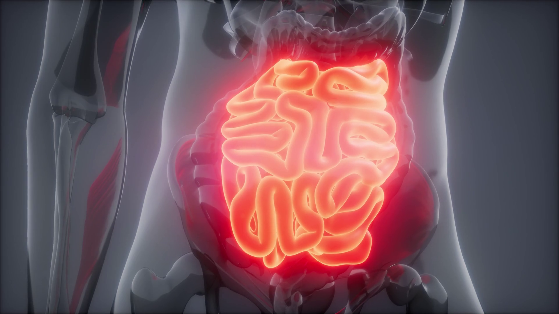 Small Intestine Radiology Examination Stock Footage SBV-334155249 ...