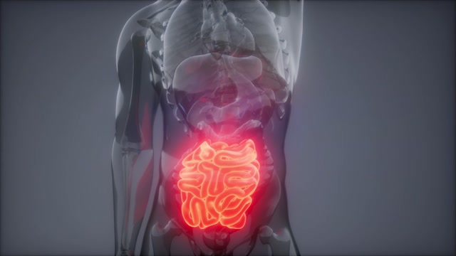 Intestinal Stock Footage: Royalty-Free Video Clips - Storyblocks