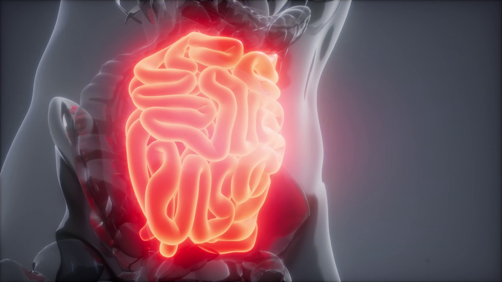 Small Intestine Radiology Examination Stock Footage SBV-330499521 ...