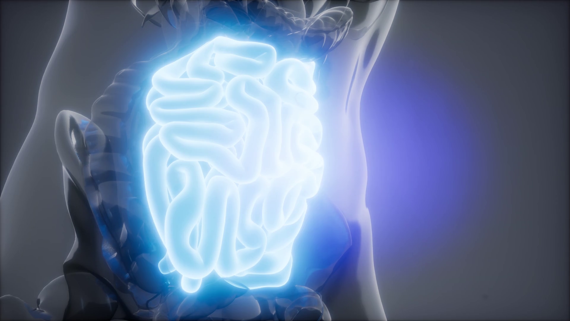 Small Intestine Radiology Examination Stock Footage SBV-333088434 ...