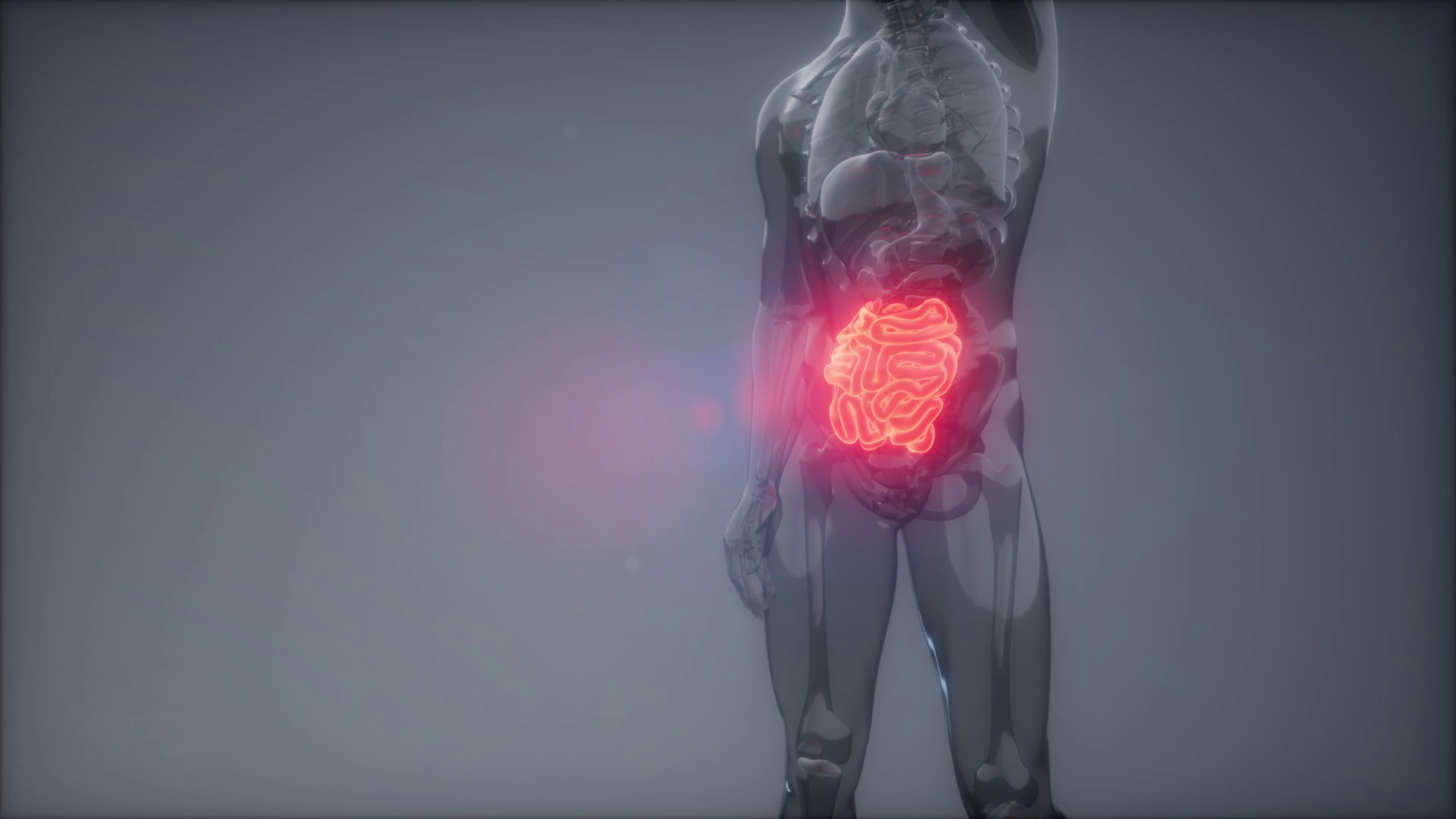 Small Intestine Radiology Examination Stock Footage SBV-336186799 ...