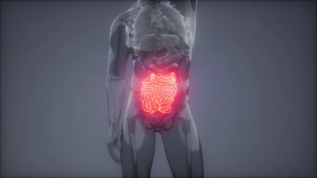 Body Toxins Animation Stock Footage: Royalty-Free Video Clips - Storyblocks