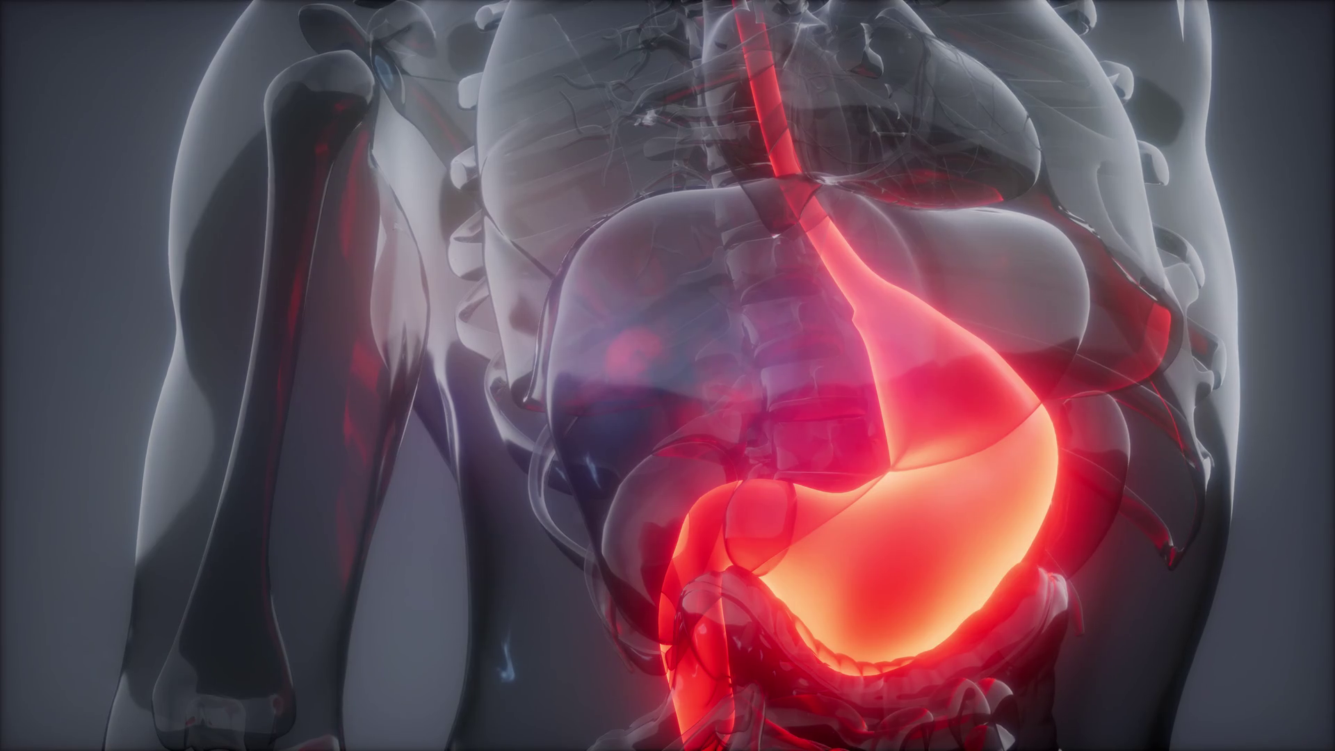 Human Stomach Radiology Exam Stock Footage SBV-330499084 - Storyblocks