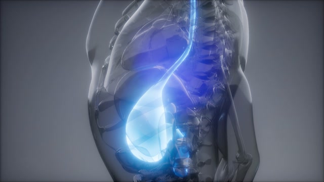 Inflammation Body Animation Stock Footage: Royalty-Free Video Clips ...