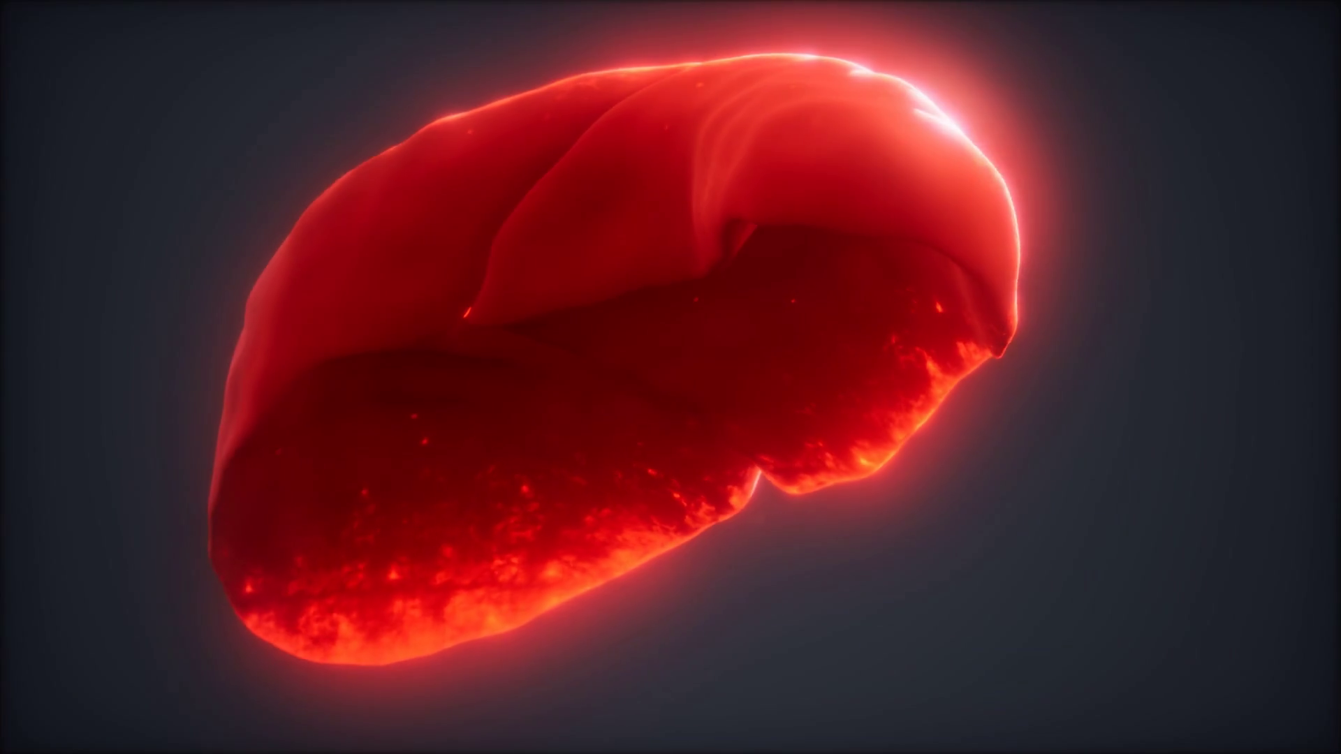 Loop 3d Rendered Medically Accurate Stock Motion Graphics SBV-338042532 ...