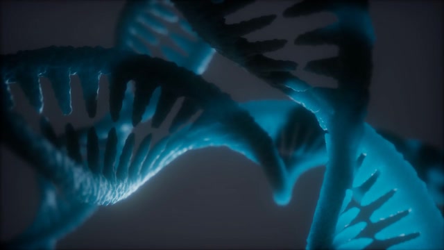 Human Evolution Animation Stock Footage: Royalty-Free Video Clips ...