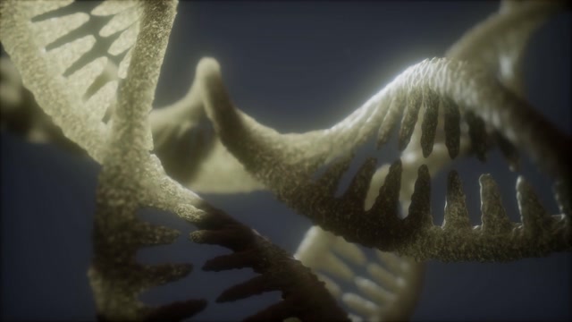 Human Evolution Animation Stock Footage: Royalty-Free Video Clips ...