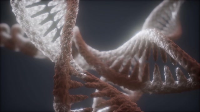 Human Evolution Animation Stock Footage: Royalty-Free Video Clips ...