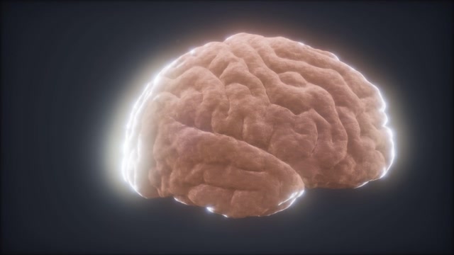Human Brain Animation Stock Footage: Royalty-Free Video Clips - Storyblocks