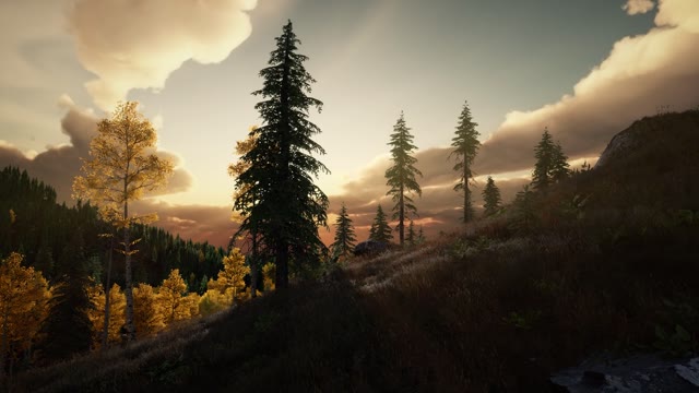 Scenery Stock Footage: Royalty-Free Video Clips - Storyblocks