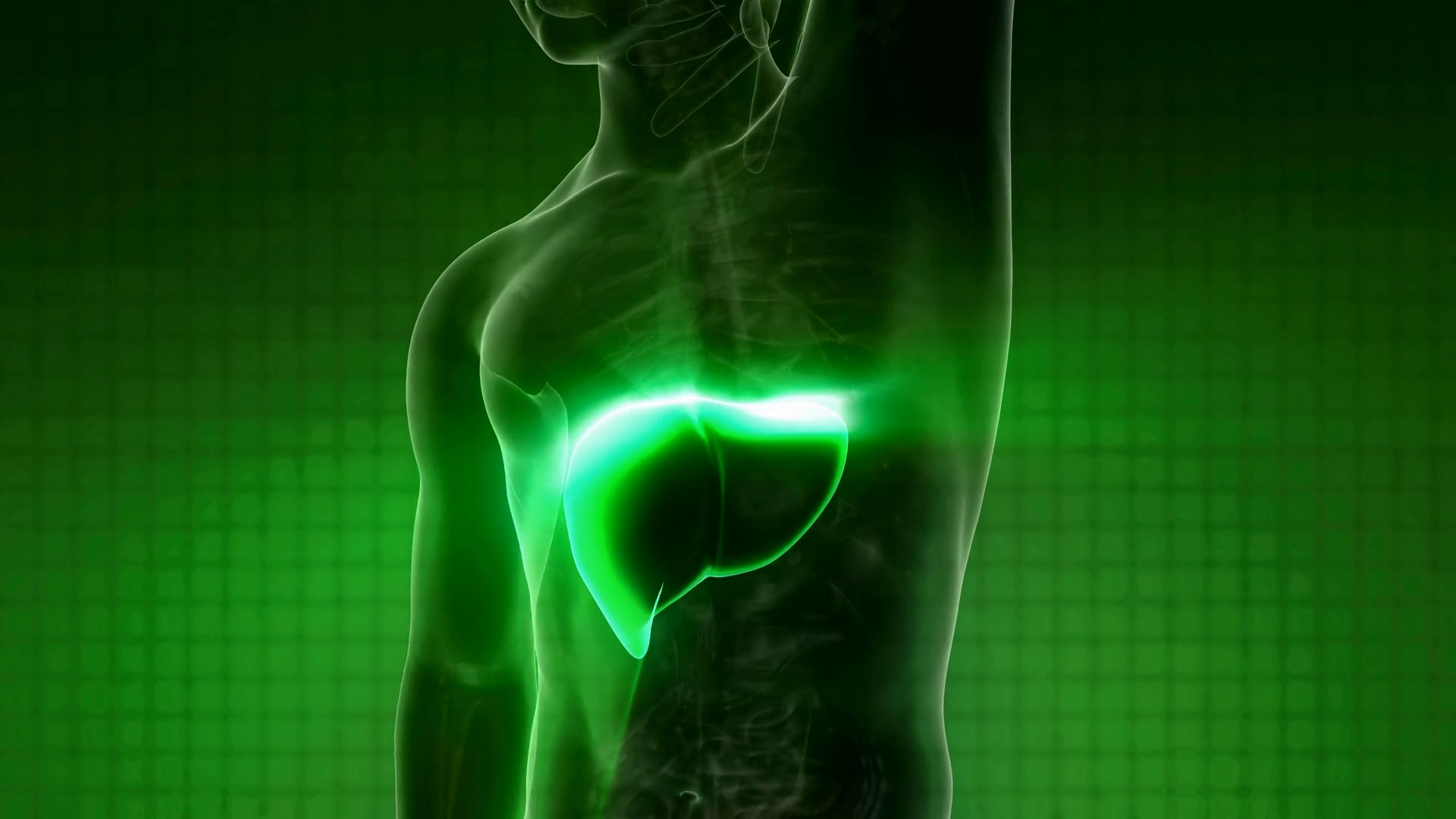 Science Anatomy Scan Of Human Liver Glowing Stock Motion Graphics SBV ...