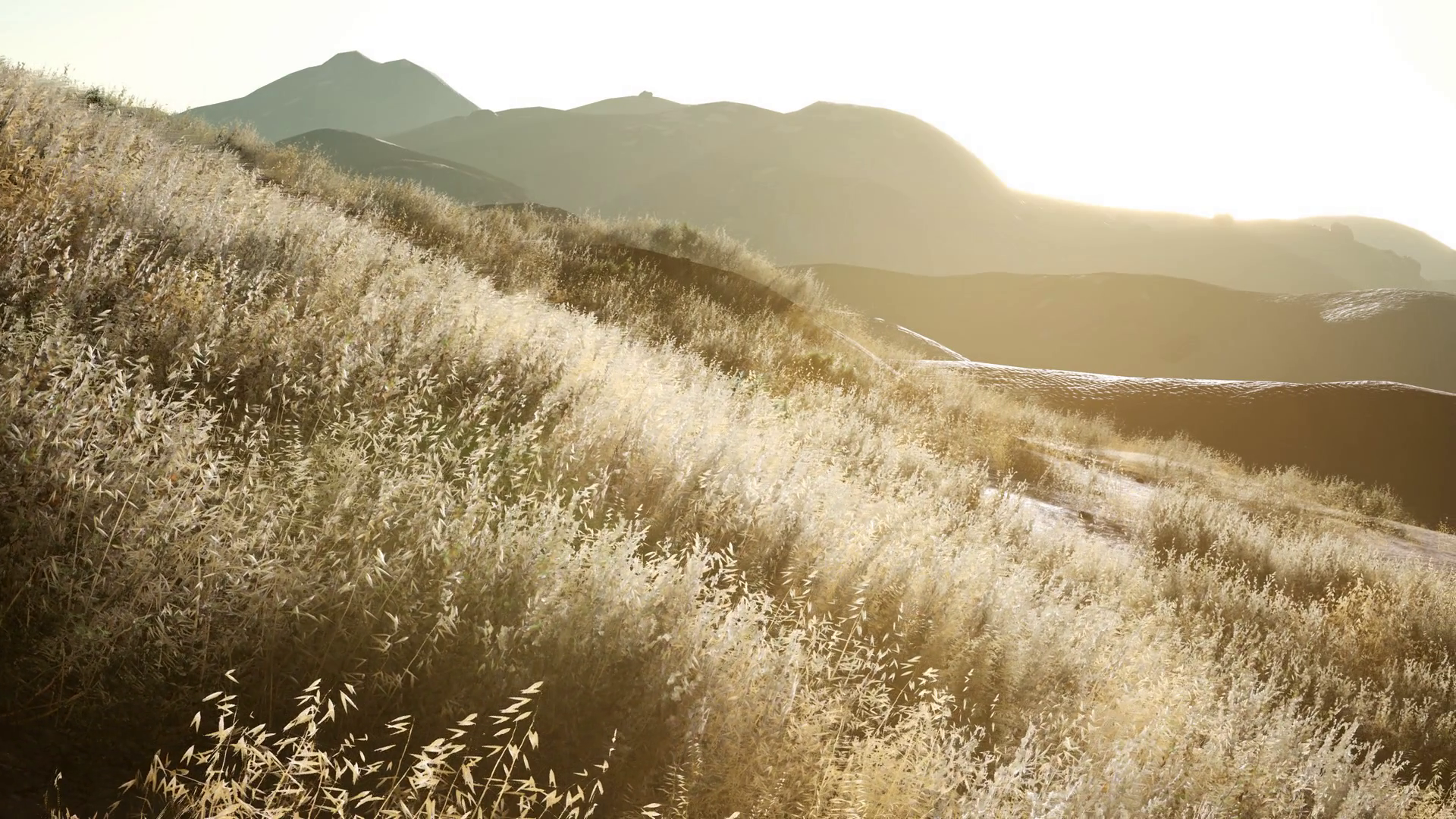 Sunset Over Valley Fields Stock Footage SBV-334746492 - Storyblocks